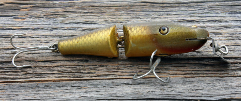 Top Lures for Saltwater Fishing From Shore - Fishing Adventures Guide