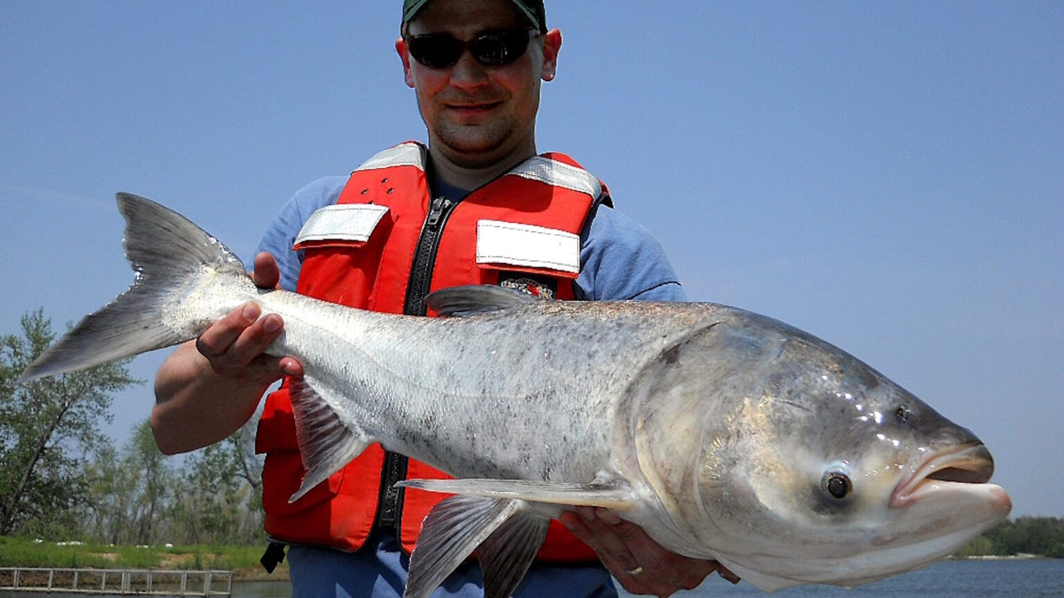 Identifying Spawning Behavior in Common U.S. Freshwater Fish - Fishing ...