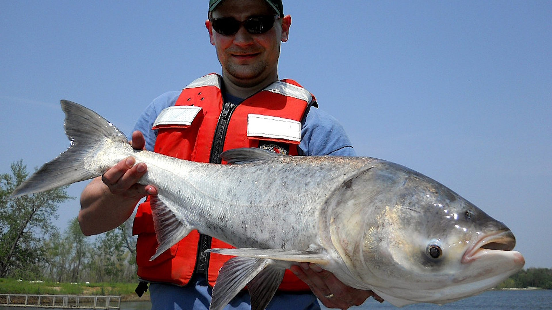 Identifying Spawning Behavior in Common U.S. Freshwater Fish - Fishing ...