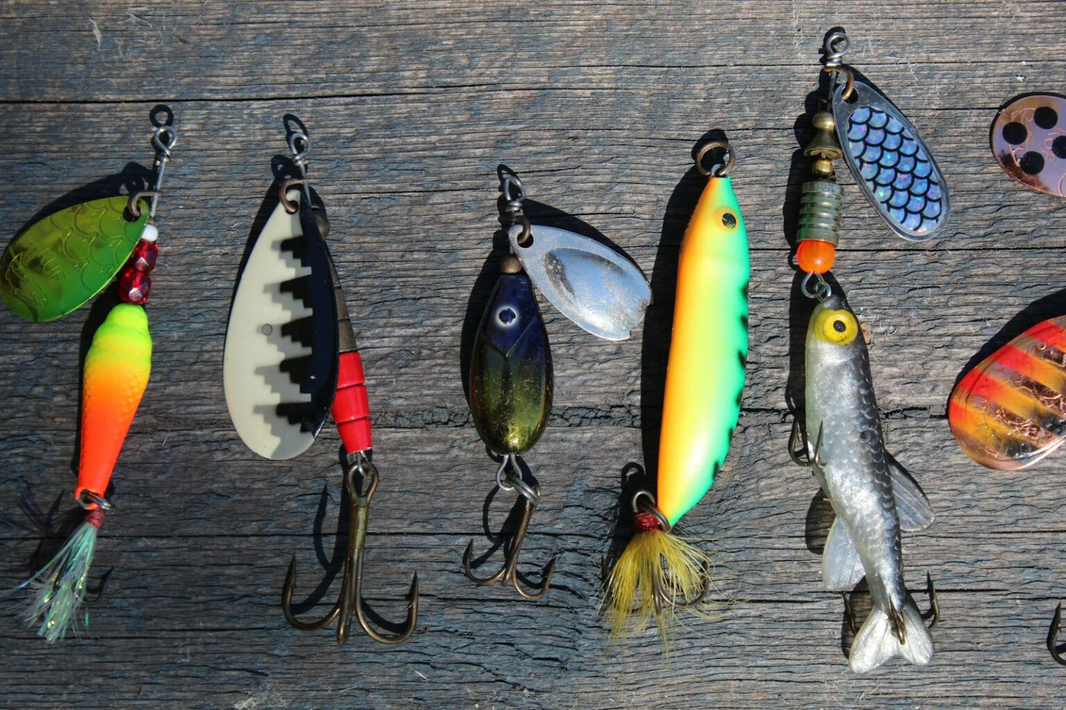 Surf Fishing on California Beaches: What to Bring - Fishing Adventures ...