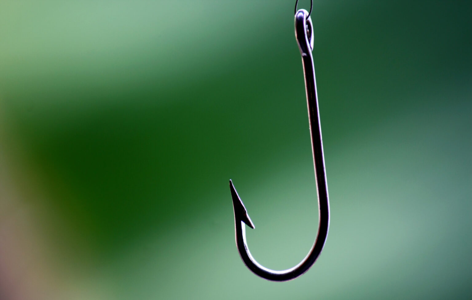 How to Remove a Hook From a Fish Without Injury - Fishing Adventures Guide