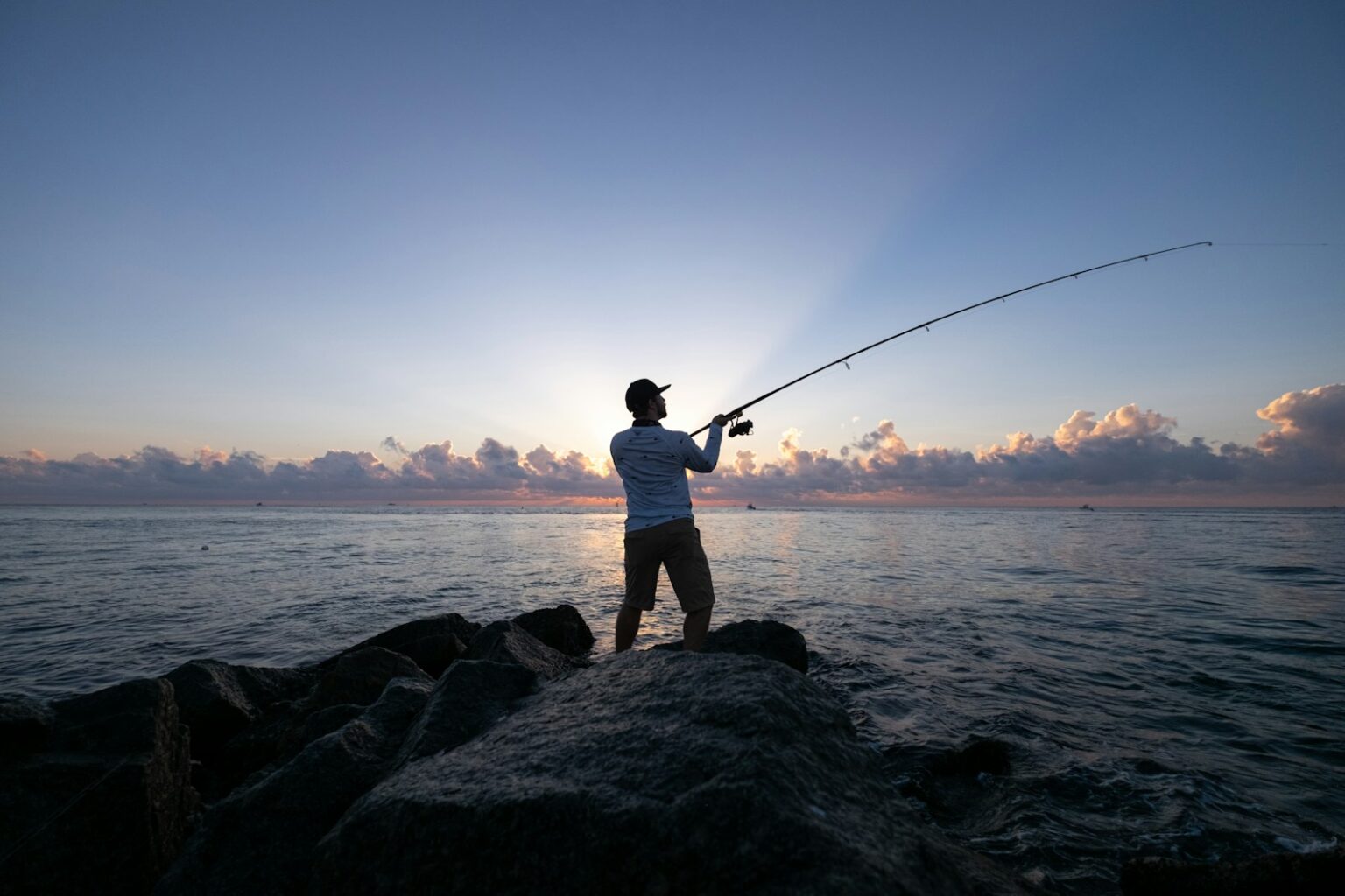 Grouper vs Snapper: How to Tell Them Apart - Fishing Adventures Guide