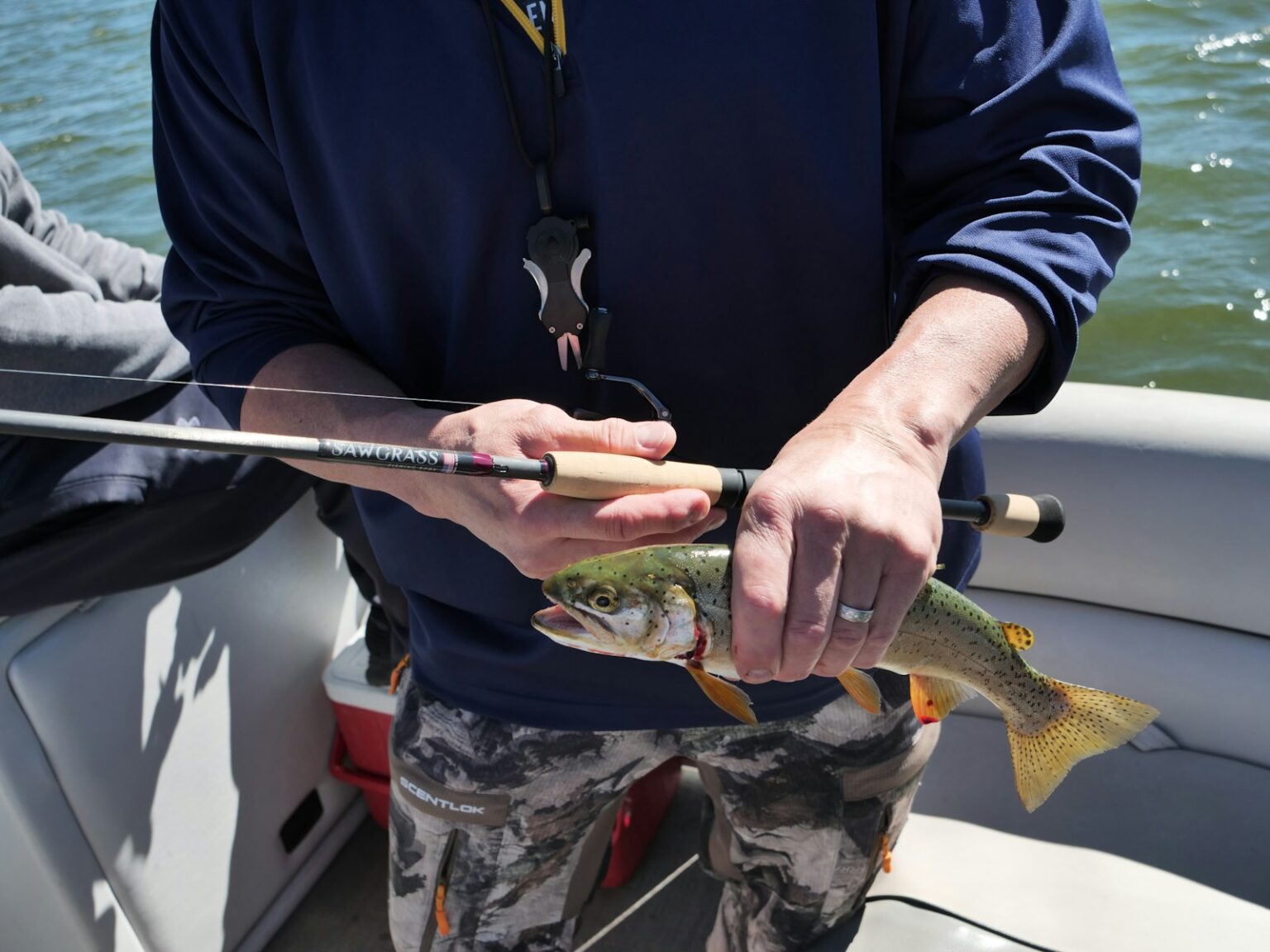 How to Remove a Hook From a Fish Without Injury - Fishing Adventures Guide